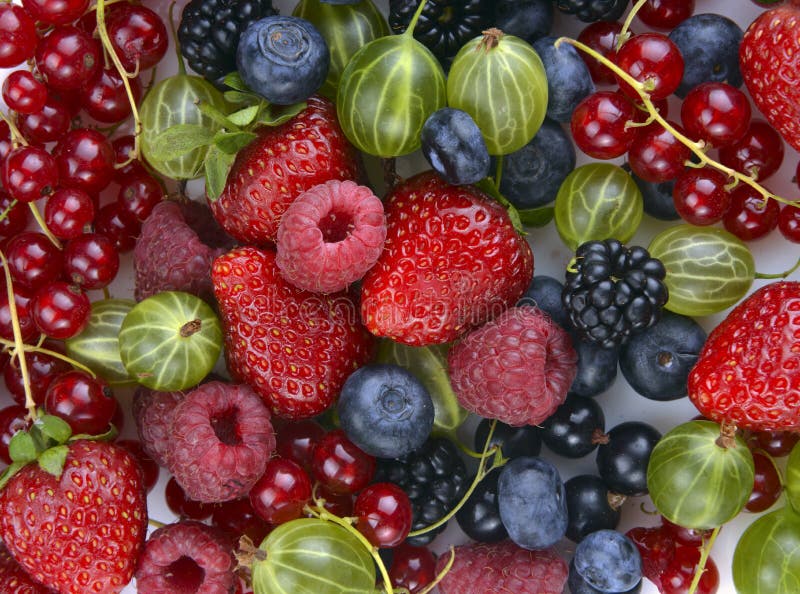 Reeks verschillende bessen stock foto. Image of moerbeiboom - 42640360