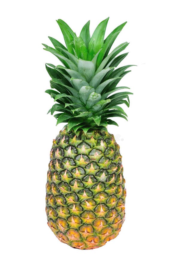 Verse ananas stock afbeelding. Image of landbouw, blad - 7621197