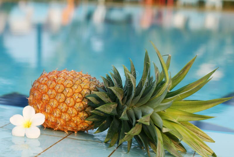 Verse ananas en pool stock foto. Image of vakanties, nave - 13824786
