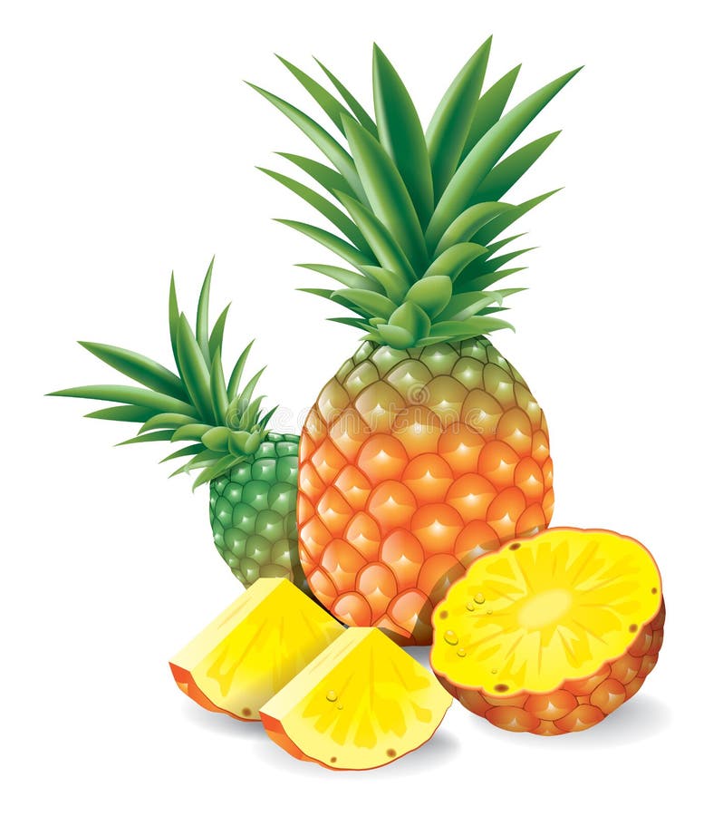 Verse Ananas Met Plakken Vectorillustratie Vector Illustratie ...