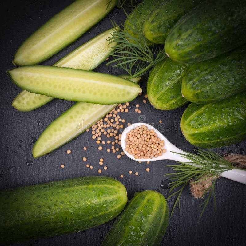 Verse augurk stock afbeelding. Image of installatie, augurk - 30469035