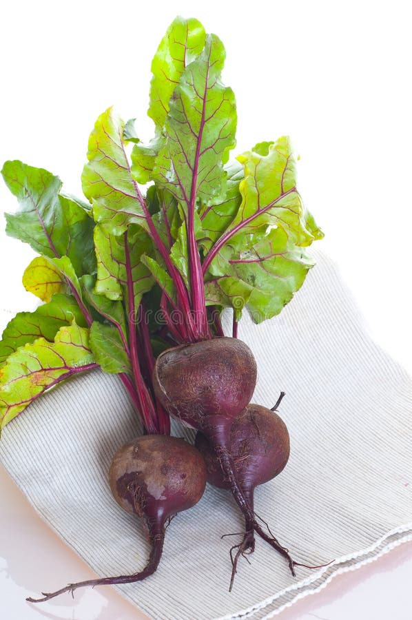 De Knollen Van De Biet in Man Handen Stock Foto - Image of greep ...