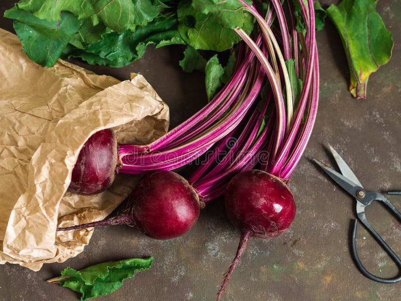 Verse Biet Met Bovenkanten En Schaar Stock Afbeelding - Image of ...
