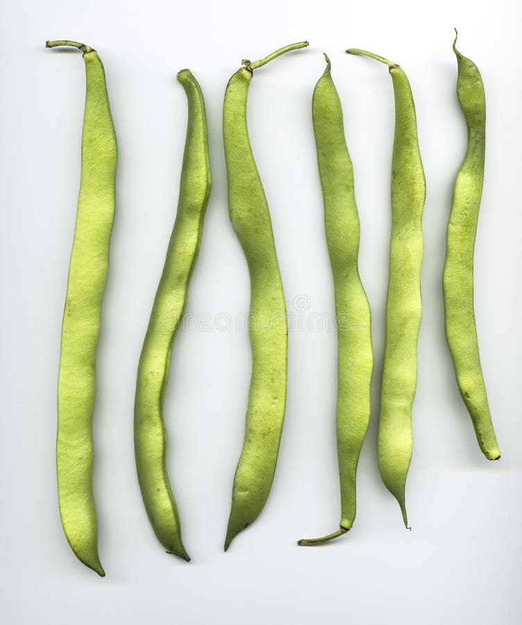 Verse bonen stock illustratie. Illustration of groen - 49049839