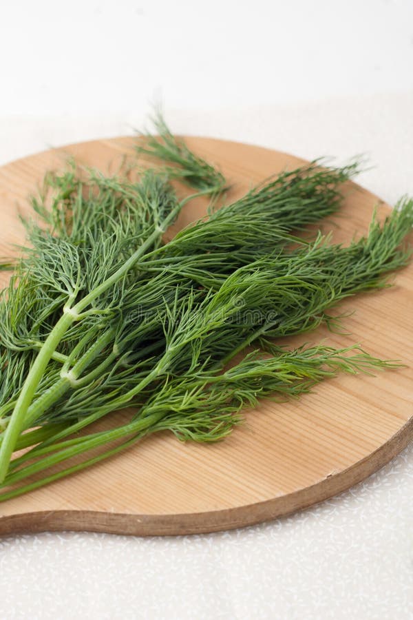 Verse Dille stock afbeelding. Image of hierboven, boeket - 51160733