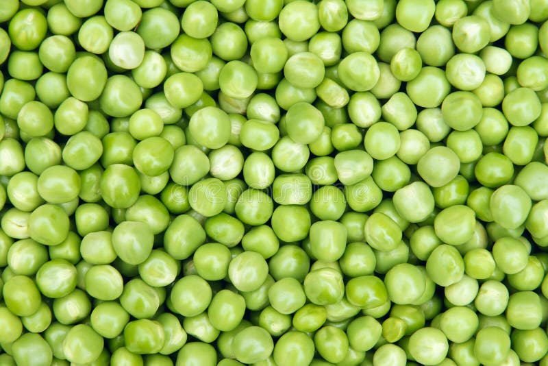 Erwt stock afbeelding. Image of voedingsmiddel, vers - 61111575