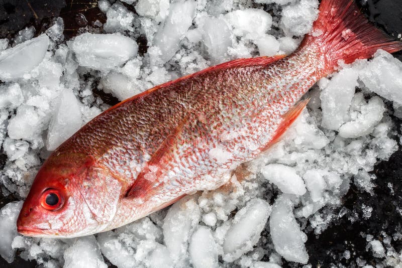 Gehele Rode Snapper Met Citroenplakken En Peterselie Stock Foto - Image ...