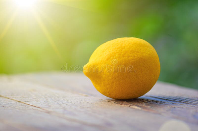 Verse Gele Citroen Onder Zonstralen Stock Foto - Image of organisch ...