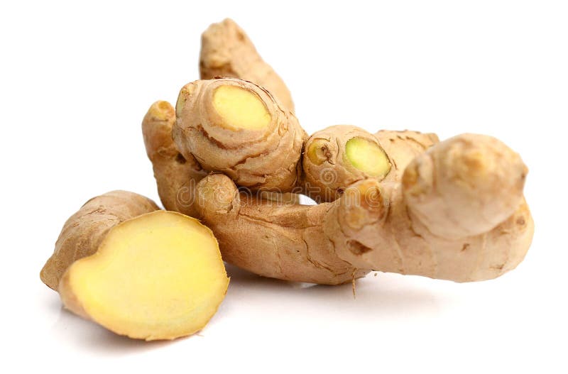 Sluit Omhoog Tropische Roze Van De Bloemetlingera Van De Toortsgember ...