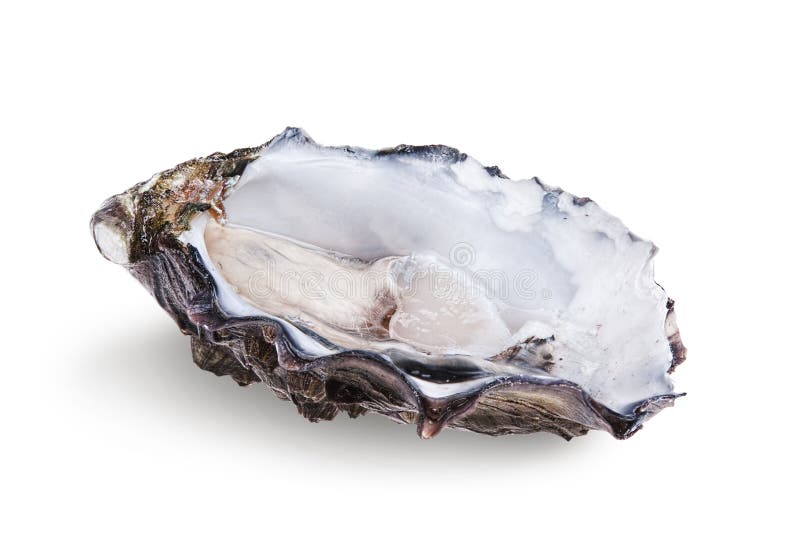 De Parel van de oester stock afbeelding. Image of macro - 2892875