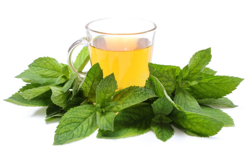 Verse Groene Munt En Een Kopje Drank Stock Foto - Image of munt ...