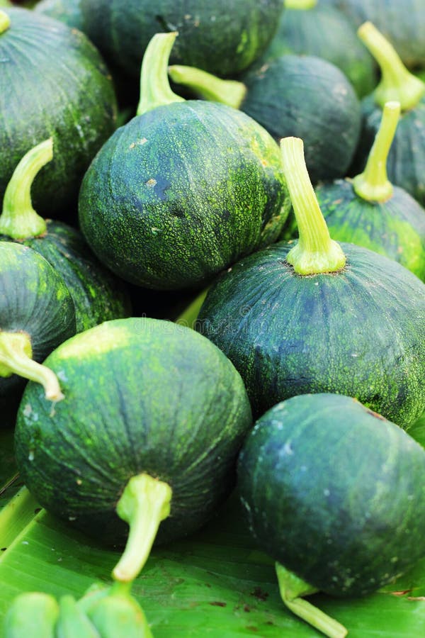 Verse Groene Pompoen in De Markt Stock Foto - Image of vakantie ...