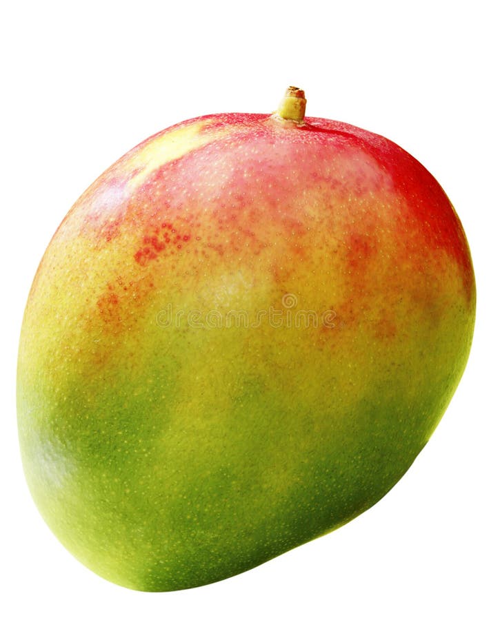 Mango en blad stock afbeelding. Image of bladeren, ingrediënt - 3149751