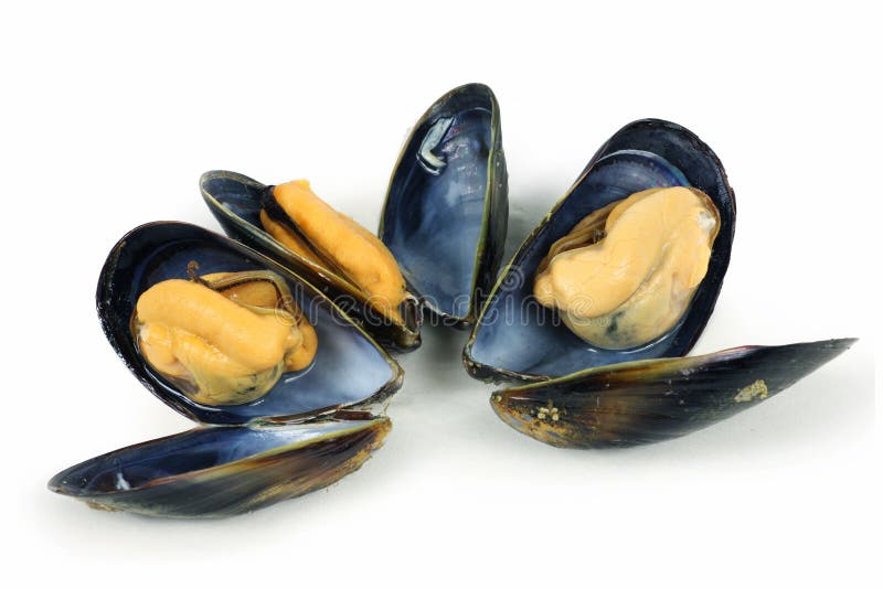 Verse Mossel Gekookte Mosselvis Met Groene Peterselie , Geïsoleerd Op ...