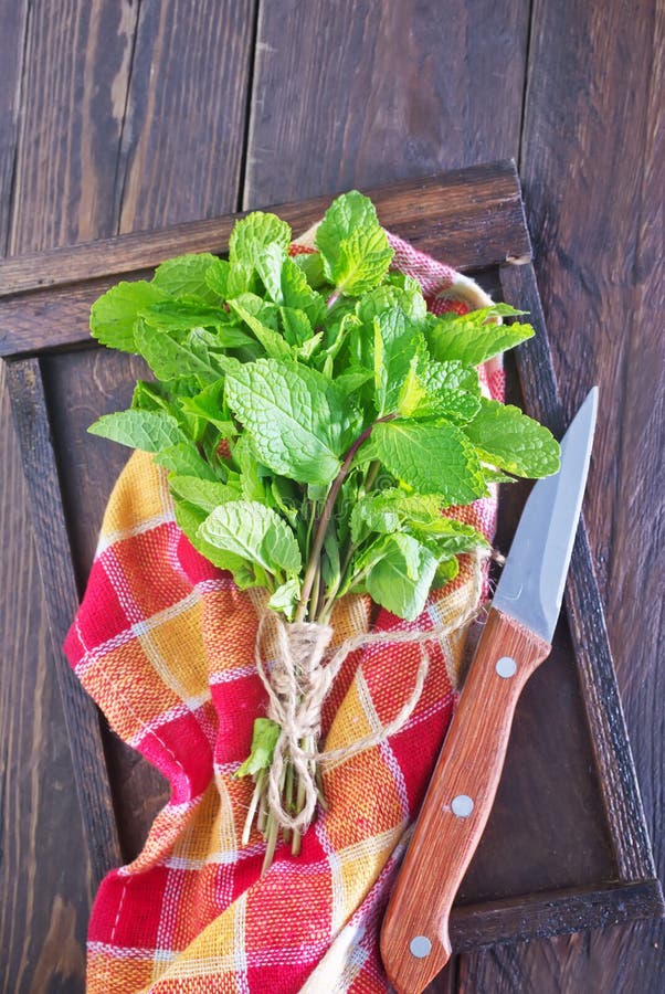 Verse munt stock afbeelding. Image of retro, exemplaar - 53945941