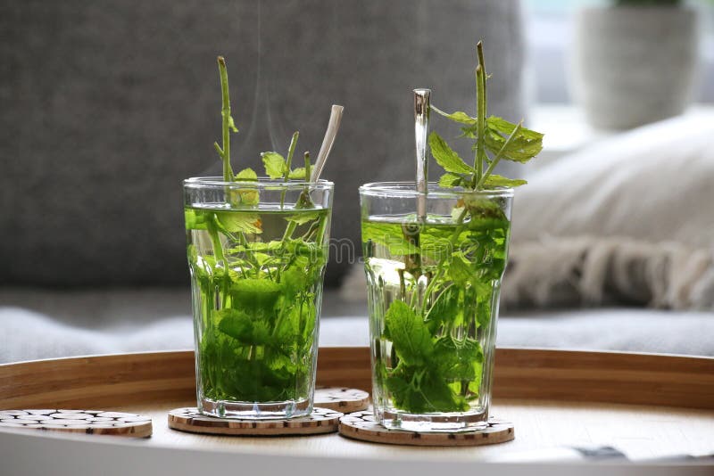 Verse muntthee stock foto. Afbeelding bestaande uit vers - 31806308