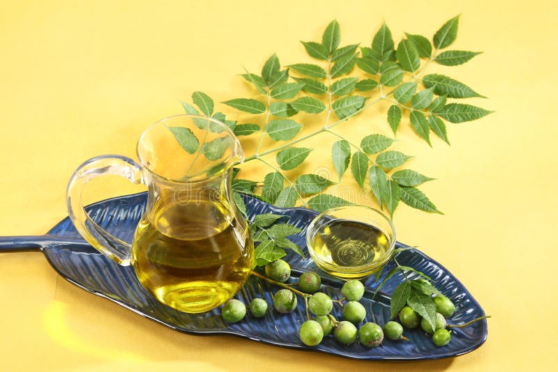 Verse Neem-Bladeren Met Olie Stock Afbeelding - Image of geneeskrachtig ...