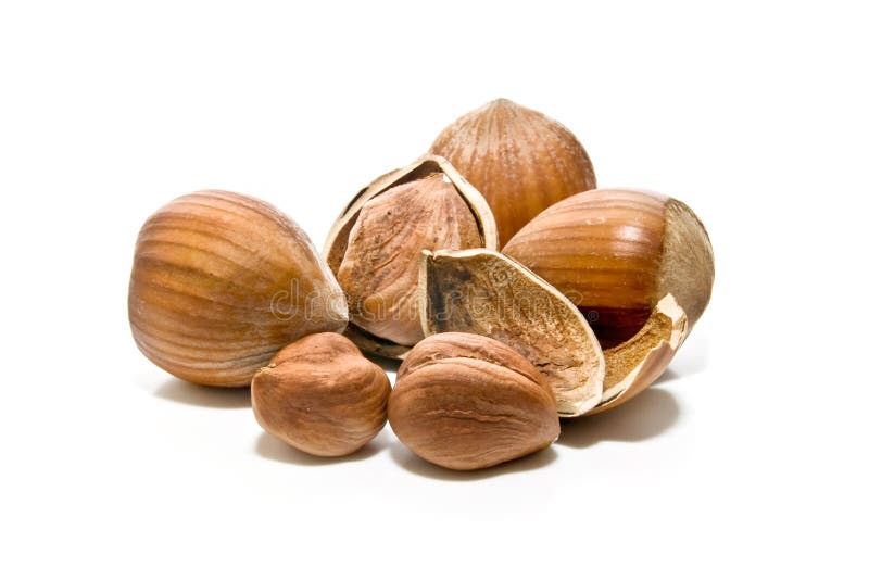 Verse noten stock foto. Image of noten, winter, seizoen - 12977440
