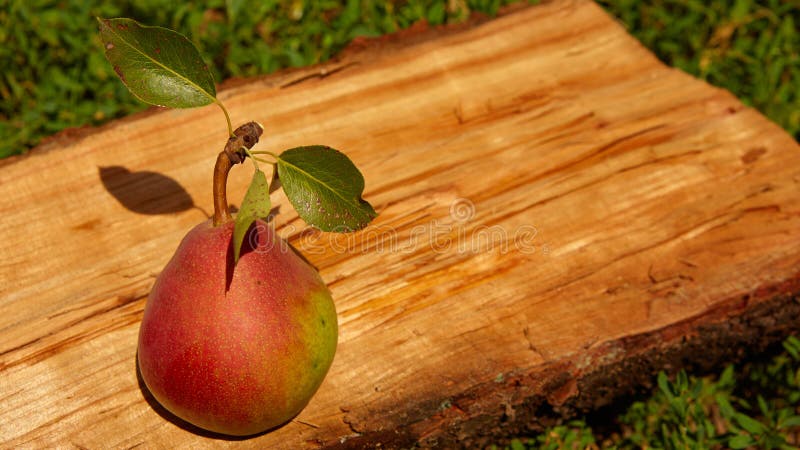 Verse Organische Peer Op Oud Hout Stock Afbeelding - Image of ...