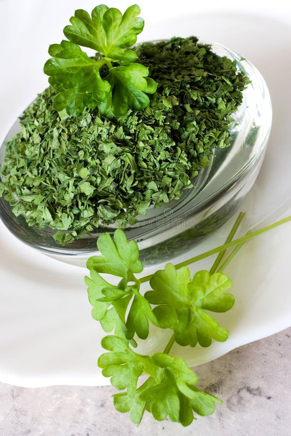 Verse Peterselie/Petroselinum Crispum Stock Afbeelding - Image of ...