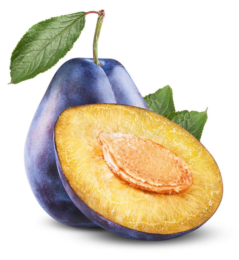 Rood pruimfruit stock afbeelding. Image of rijp, gebroken - 42698971