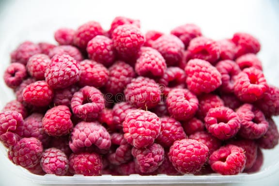Verse rode frambozen stock afbeelding. Image of goed - 96111893
