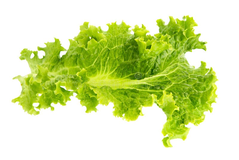 Sla Rood, Groene Bladsla Achtergrond Van Meervoudig Blad Met Sla Stock ...