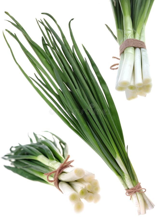 Verse ui stock afbeelding. Image of groen, geïsoleerd - 4622485