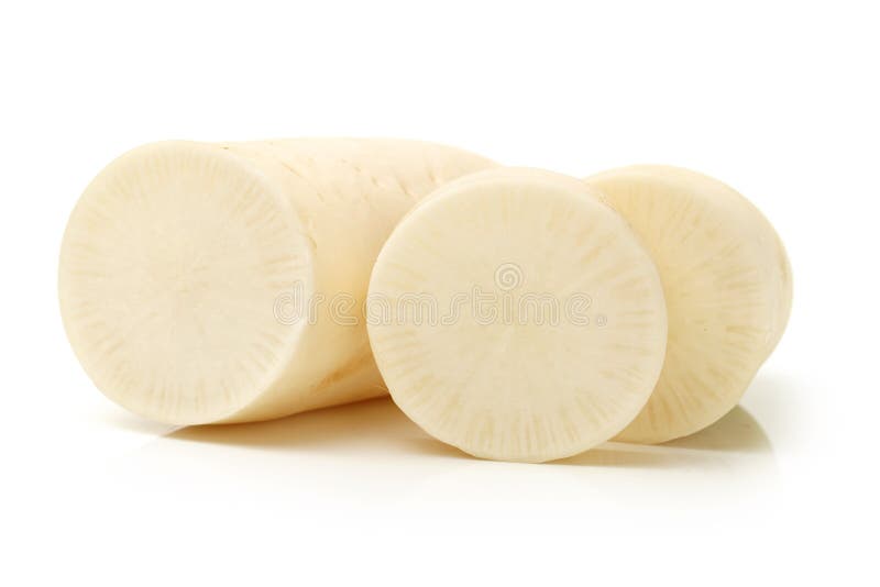 Witte radijs stock foto. Image of groenten, boomgaarden - 104981332