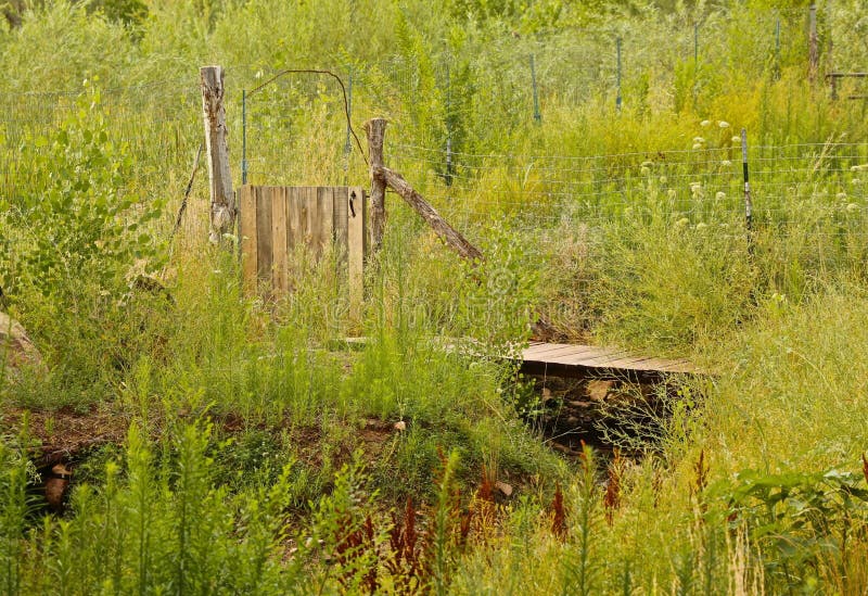 Versieht Wiese Mit Einem Gatter Stockfoto - Bild von wiese, tür: 56619818