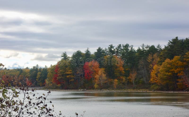 Autumn Trees Lakeside Landscape Scenic Dark Sky Reds Yellows Greens ...