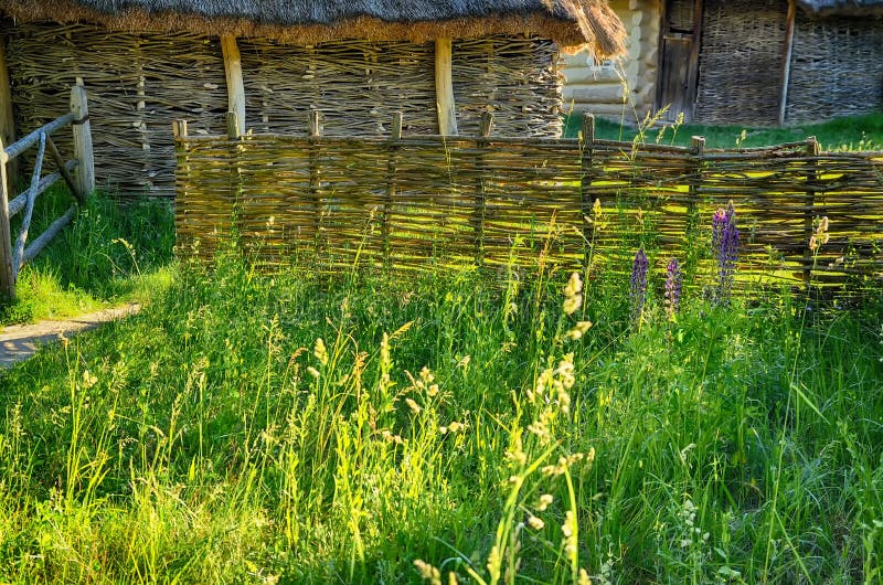 Vertentes De Madeira De Vime E Uma Cerca Velha Foto de Stock - Imagem ...