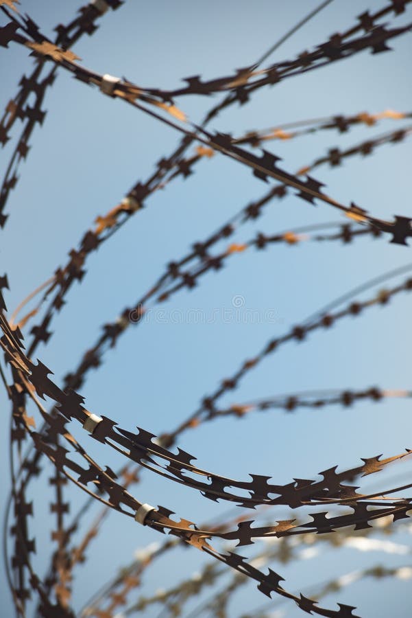 Vertical Abstract Background with Barbed Wire Stock Image - Image of ...