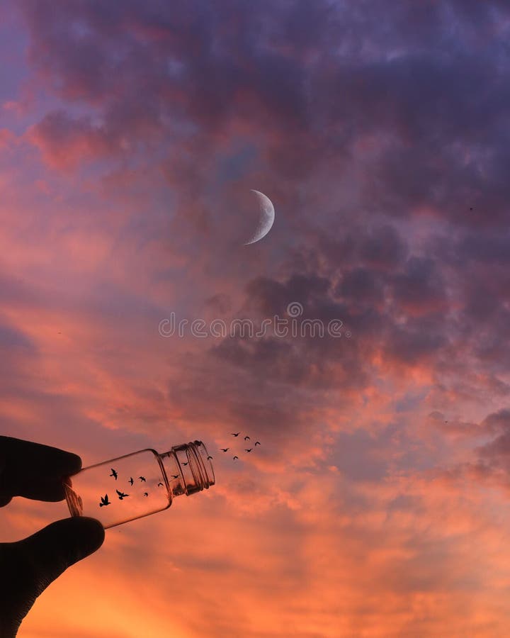 Vertical Abstract Representation of Freedom with Birds Flying Out of a ...