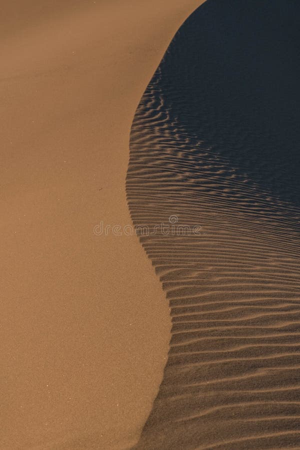 Vertical Abstract Shot of the Water Reaching the Sand of the Beach ...