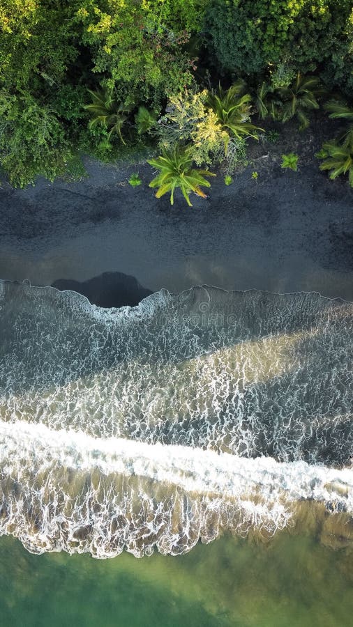 Vertical Aerial Shot of a Foamy Beach Wave Touching the Coastline with ...