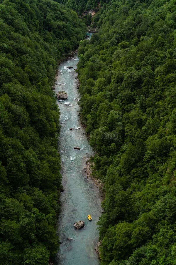 Vertical Aerial Shot of a River Flowing through Tree-covered Mountains ...