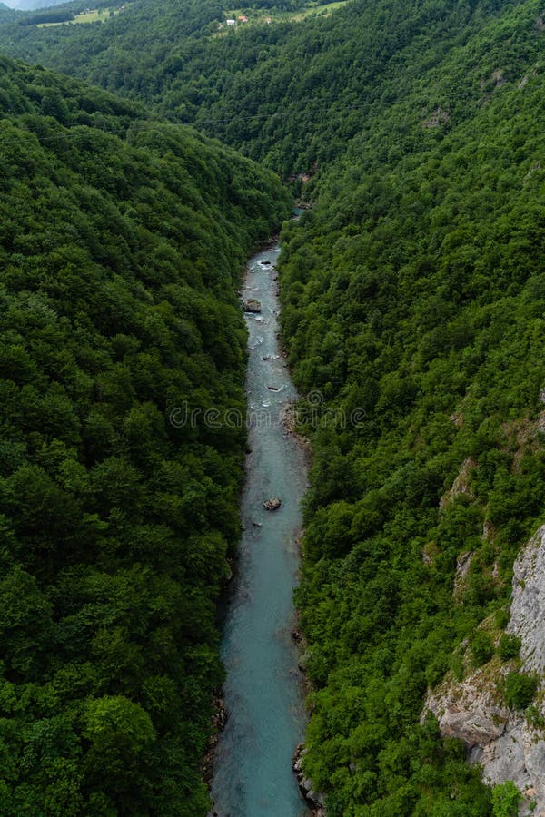 Vertical Aerial Shot of a River Flowing through Tree-covered Mountains ...