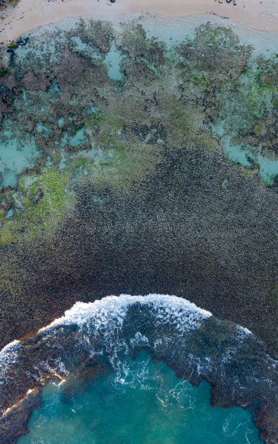 Trigg Beach Perth Australia Stock Photos - Free & Royalty-Free Stock ...