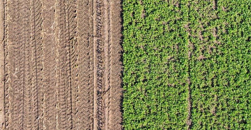Vertical Aerial View of a Green Field and a Brown Field, Abstract As ...