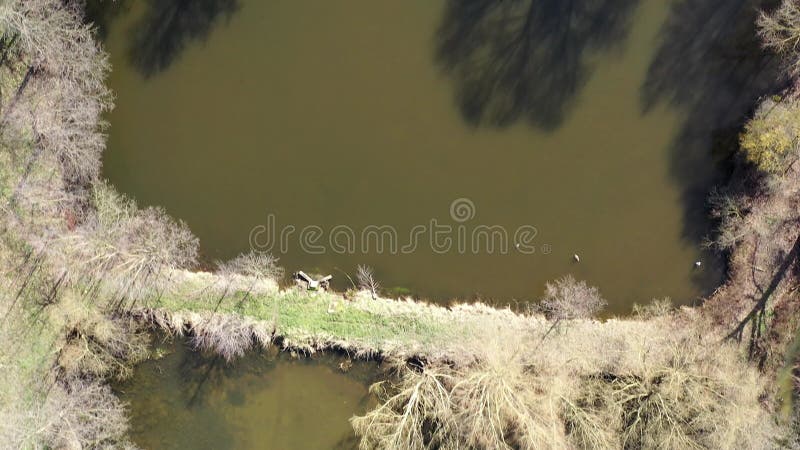 Vertical Aerial View Over a Number of Fish Breeding Ponds Stock Video ...