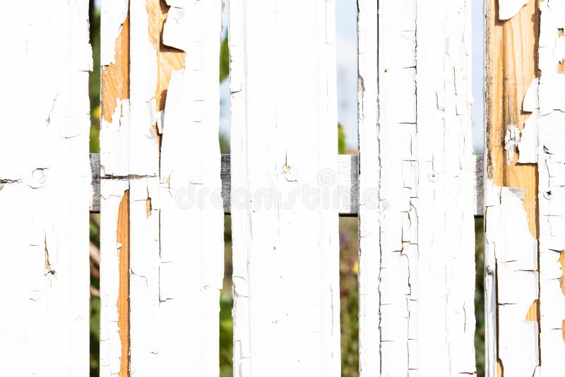 Vertical Aged White Wooden Vintage Background.Oak Background Stock ...