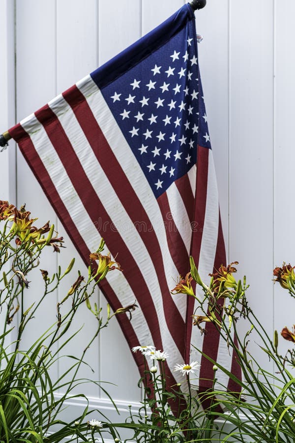 Vertical American Flag in Flower Garden Stock Image - Image of lily ...