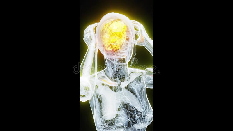 Vertical Animation of the Brain Stock Video - Video of girl, biology ...