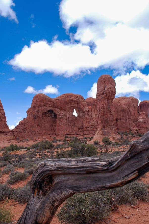 Vertical Arches Sandstone with Juniper Stock Photo - Image of desert ...