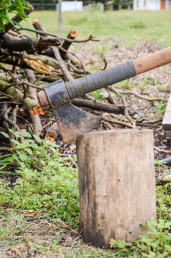 Vertical of an Axe Stuck in a Log Captured during Wood Cutting Stock ...