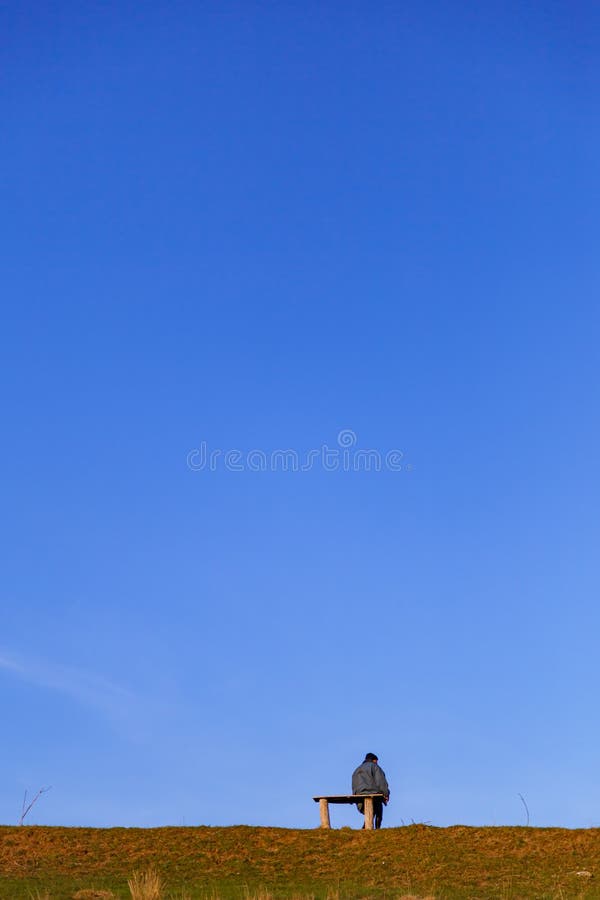 Vertical Back View of a Person Sitting on a Bench with the Blue Sky in ...