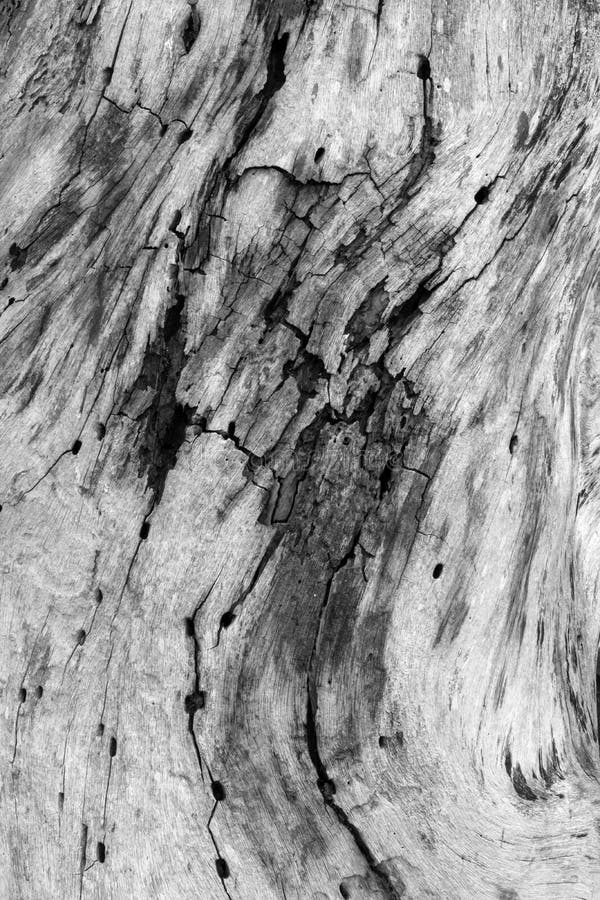 Vertical Background, Abstract Texture, Old Classic Old Black and White ...