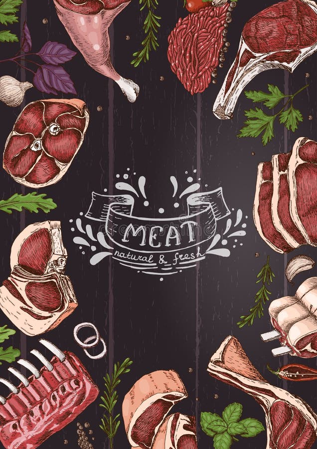 Vertical Background with Different Color Meats in Sketch Style. Stock ...