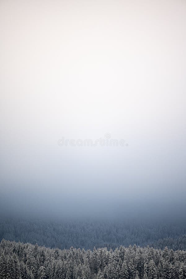 1,941 Blue Gradient Vertical White Stock Photos - Free & Royalty-Free ...
